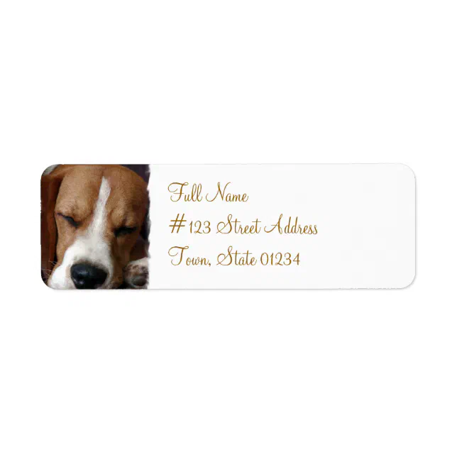 Sleeping Beagle Return Address Label | Zazzle