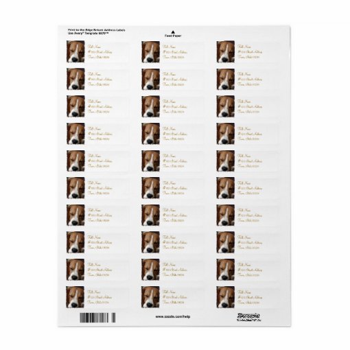 Sleeping Beagle Return Address Label | Zazzle