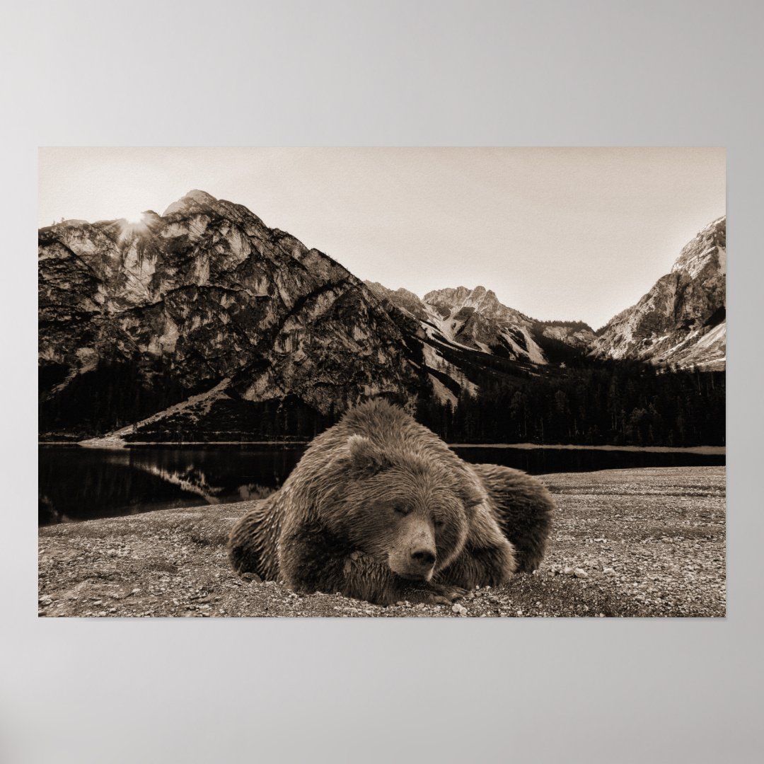 Sleeping Bear Rustic Cabin Decor Brown Landscape | Zazzle