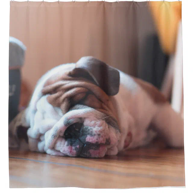 Sleeping Bulldog Bown and White Puppy Shower Curtain | Zazzle
