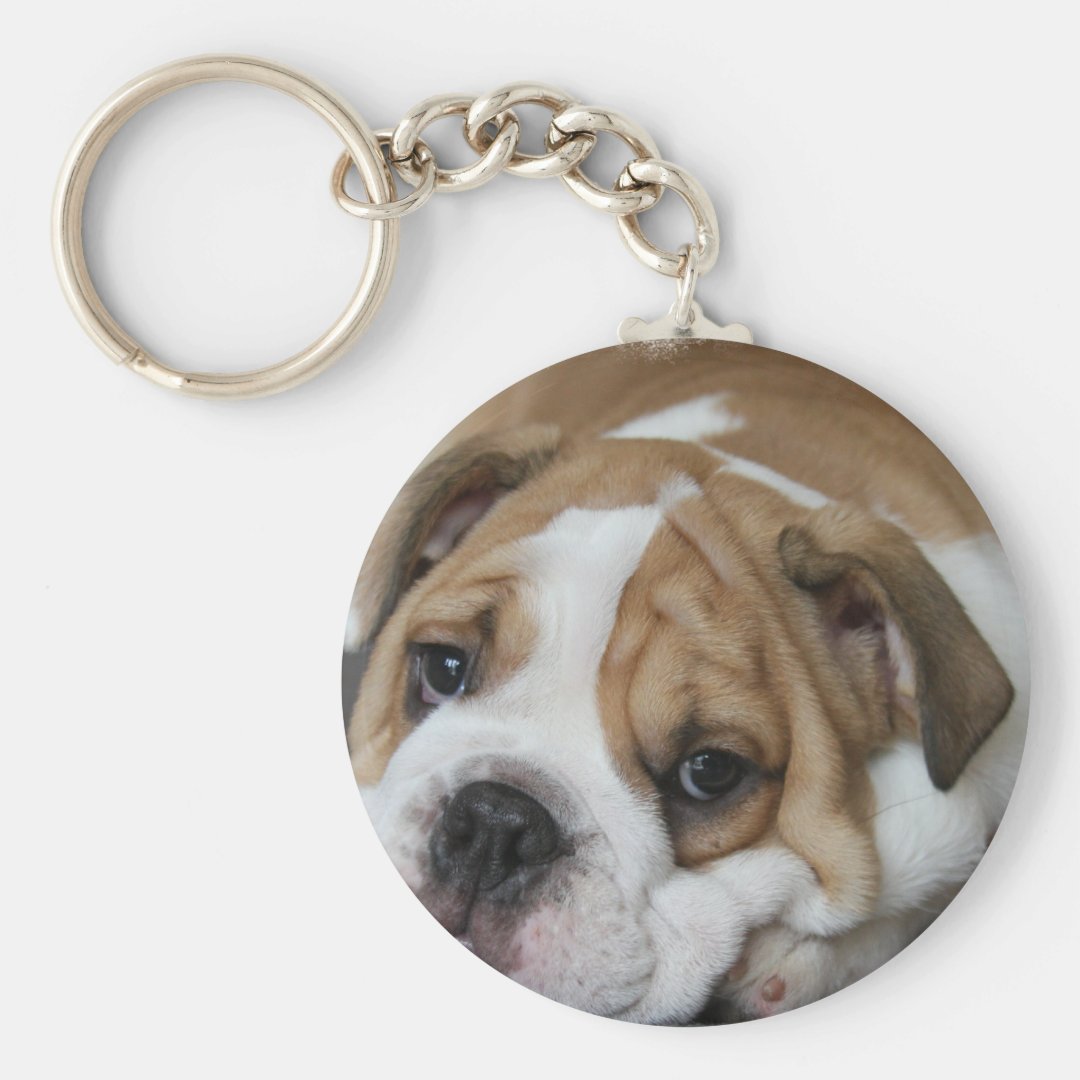 Sleeping Bulldog Keychain | Zazzle