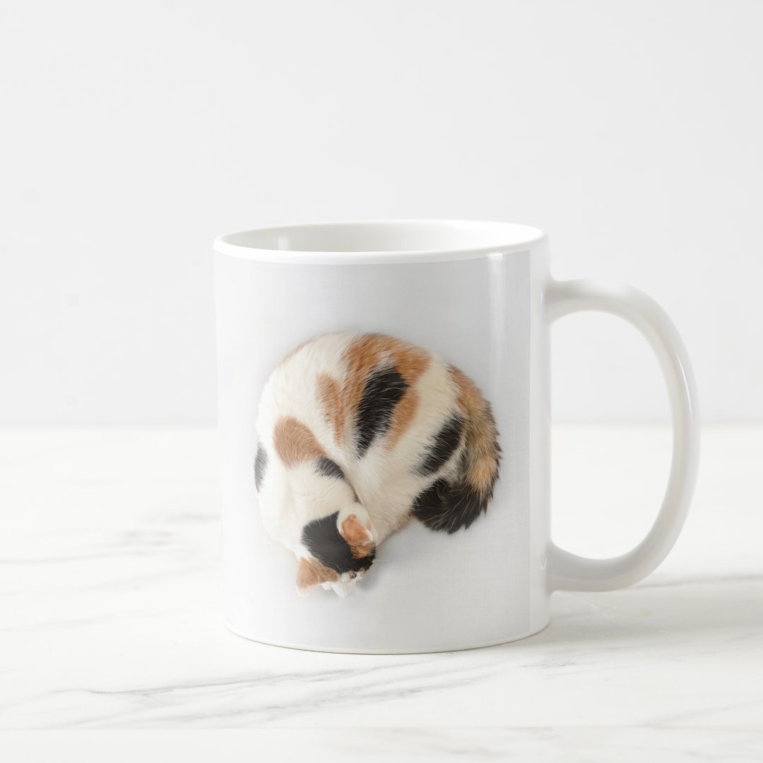Sleeping Calico Cat Mug | Zazzle