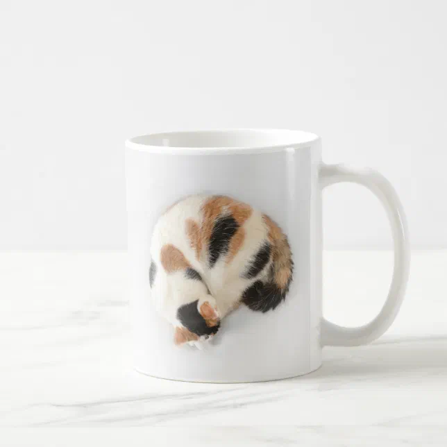 Sleeping Calico Cat Mug | Zazzle