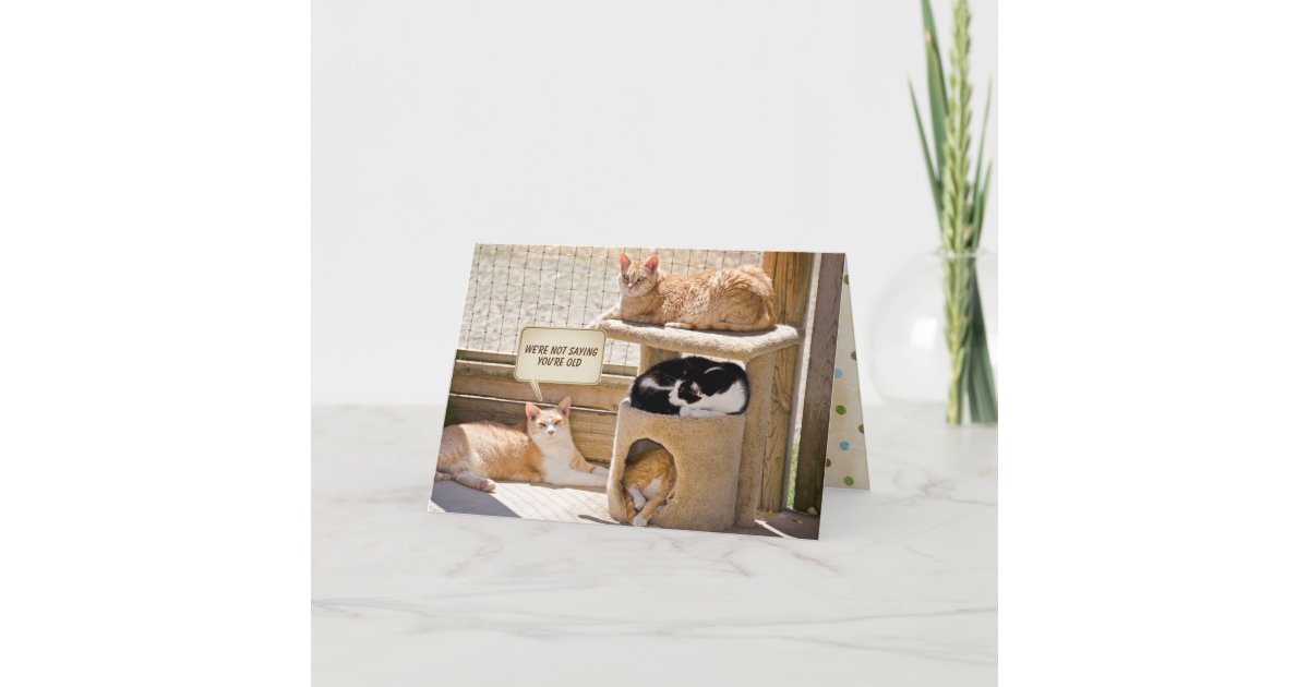 sleeping cats birthday card | Zazzle