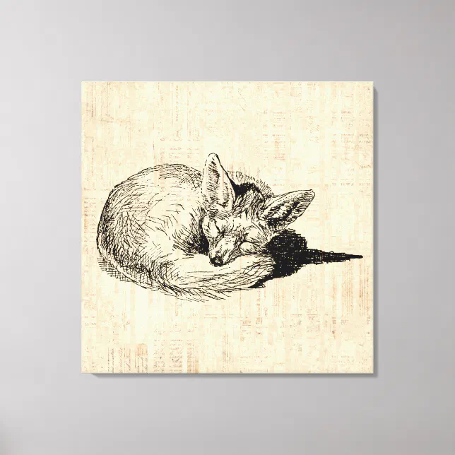 sleeping fox artwork