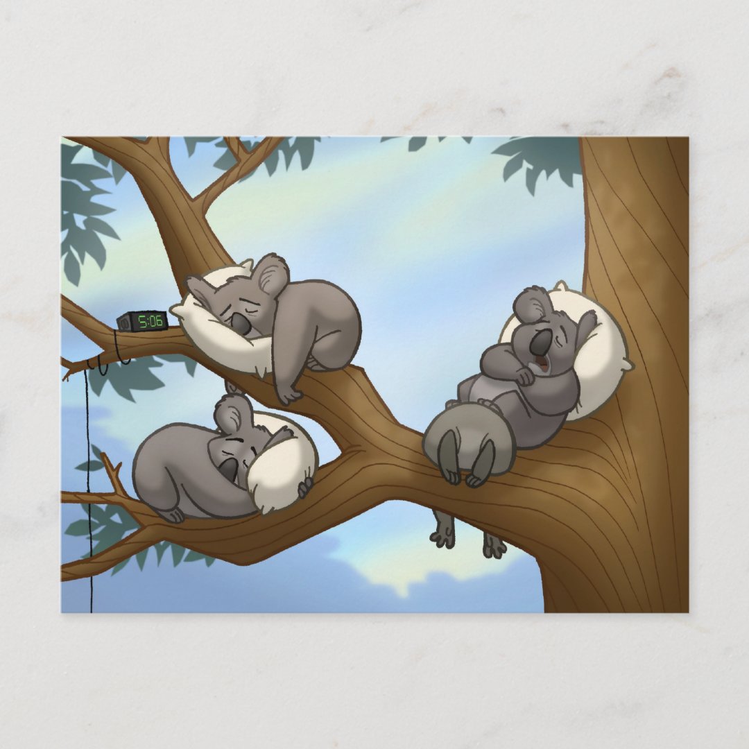 Sleeping Koala Postcard | Zazzle