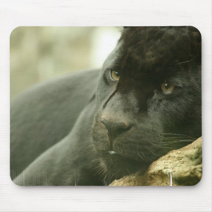 Sleeping Panther Mouse Pad | Zazzle.com