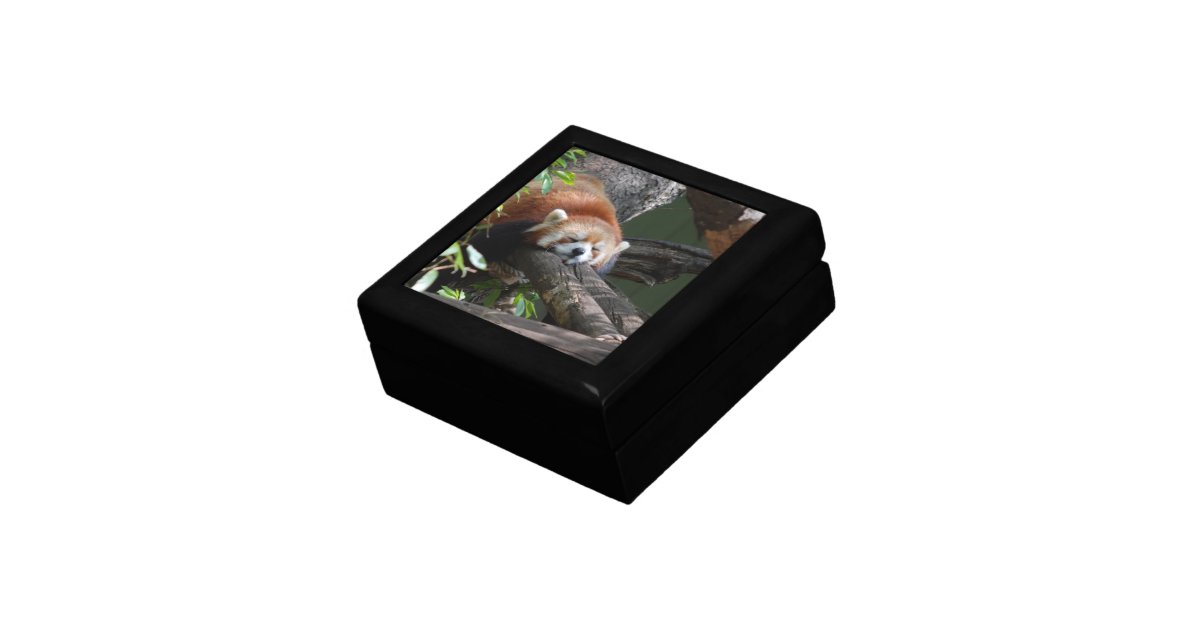 Sleeping Red Panda Gift Box | Zazzle