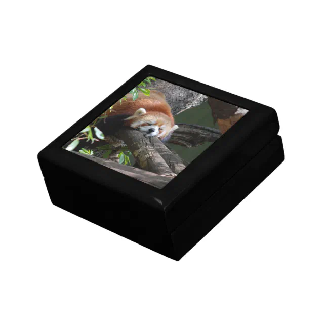 Sleeping Red Panda Gift Box | Zazzle