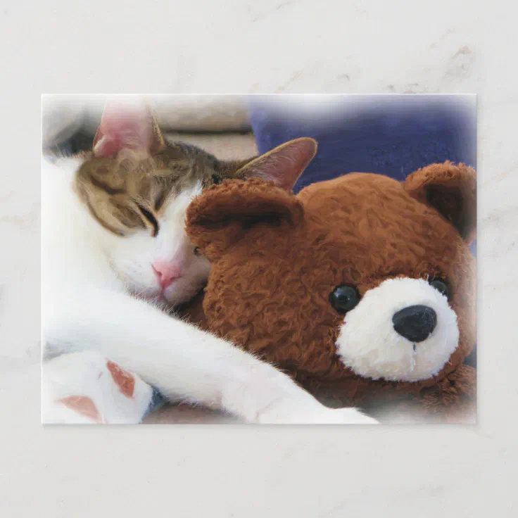 Sleeping Tabby Teddy Bear Postcard | Zazzle