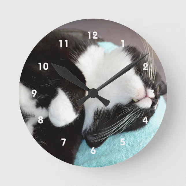 sleeping tuxedo cat chin view kitty image round clock | Zazzle