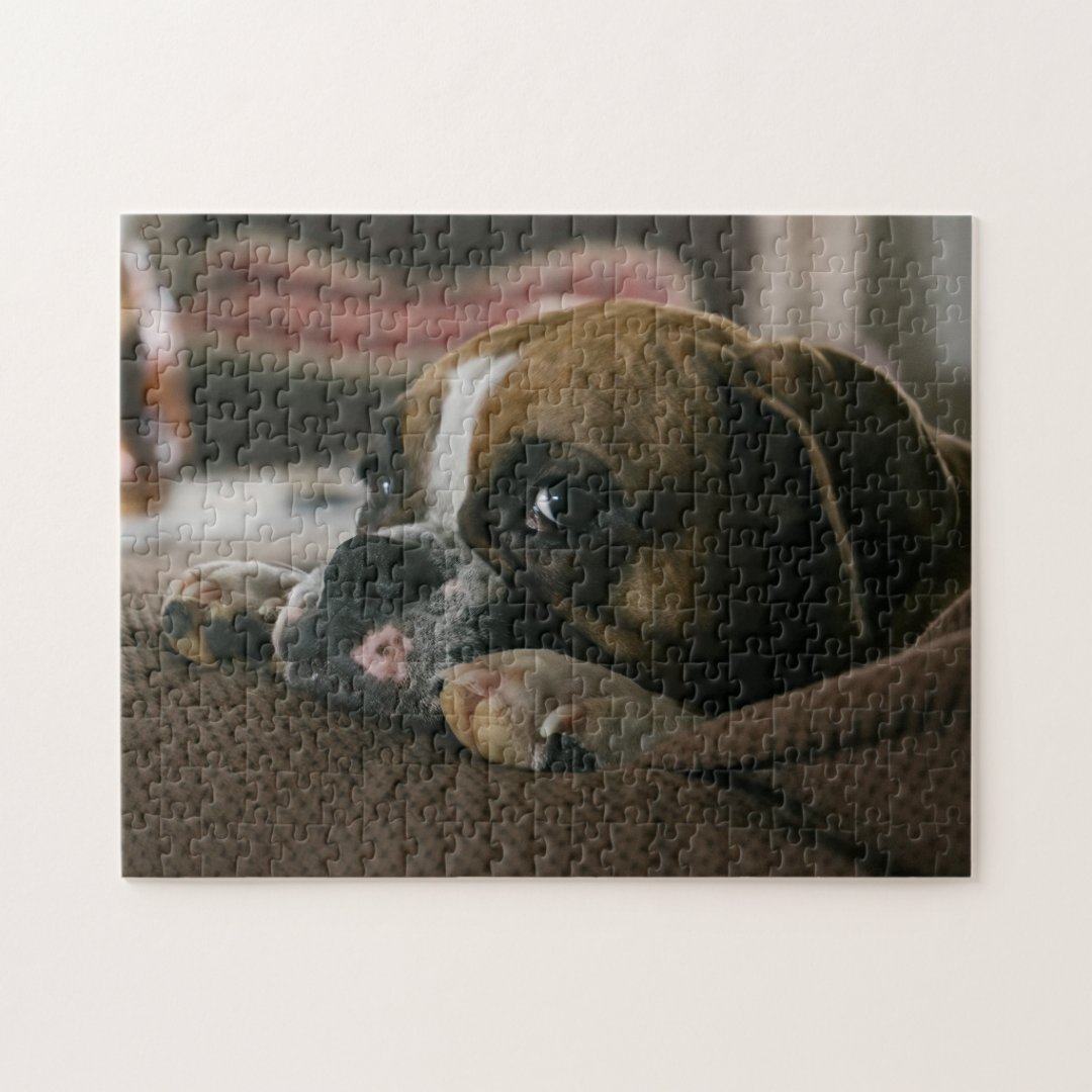 Sleepy Boxer Dog Jigsaw Puzzle | Zazzle