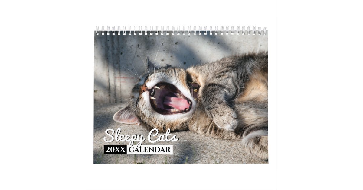 Sleepy Cats Photo Wall Calendar | Zazzle