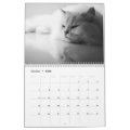 Sleepy Cats Photo Wall Calendar | Zazzle