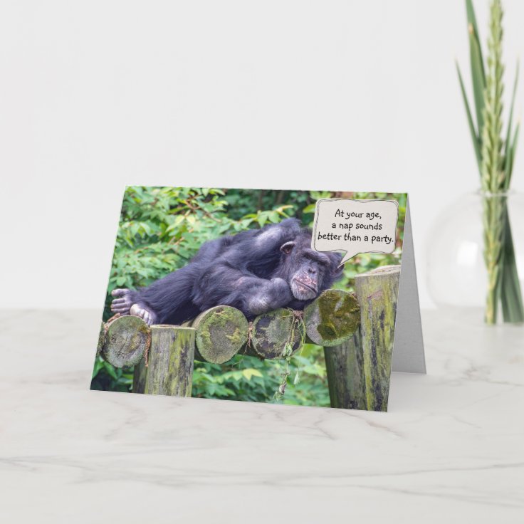 sleepy chimpanzee for humorous birthday card | Zazzle