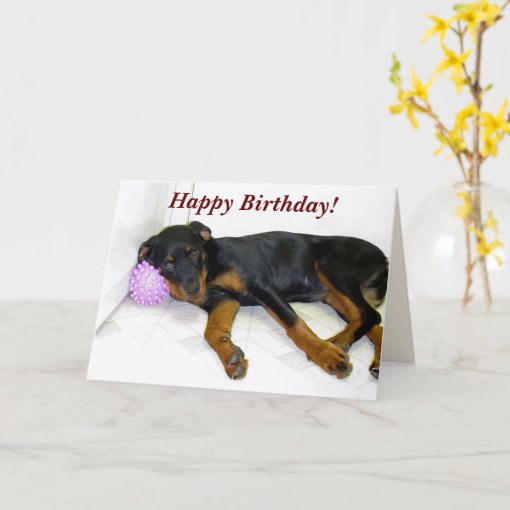 Sleepy Heidi and Ball Birthday Card | Zazzle