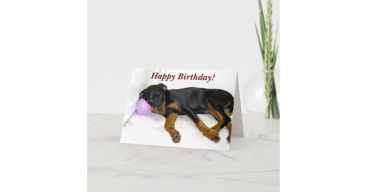 Sleepy Heidi and Ball Birthday Card | Zazzle
