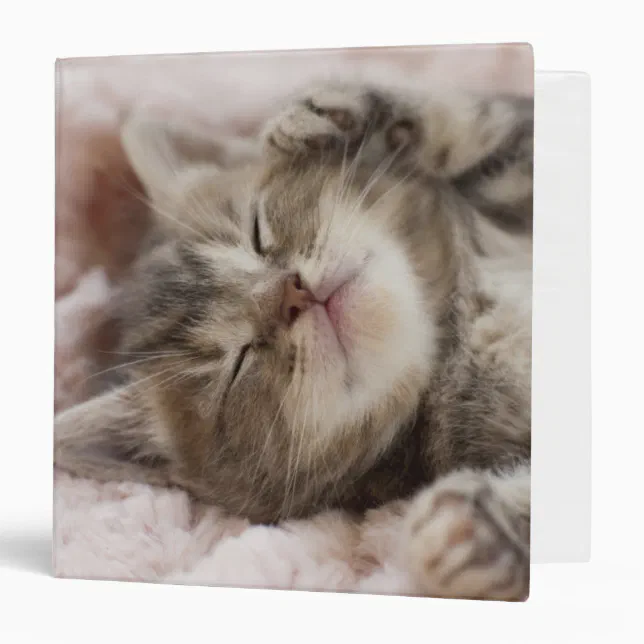 Sleepy Kitten Binder | Zazzle