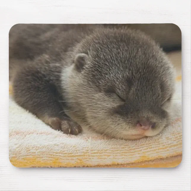 Sleepy Otter Mouse Pad | Zazzle