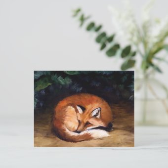 Sleepy Red Fox Animal Art Postcard | Zazzle