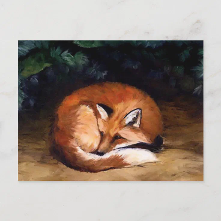 Sleepy Red Fox Animal Art Postcard | Zazzle