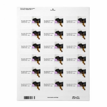 Sleepy Rottweiler Address Labels | Zazzle