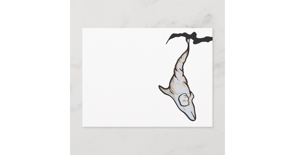 sleepyhead dolphin cocoon postcard | Zazzle