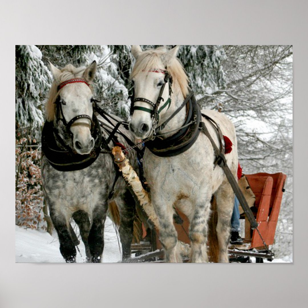 Sleigh Ride Poster | Zazzle
