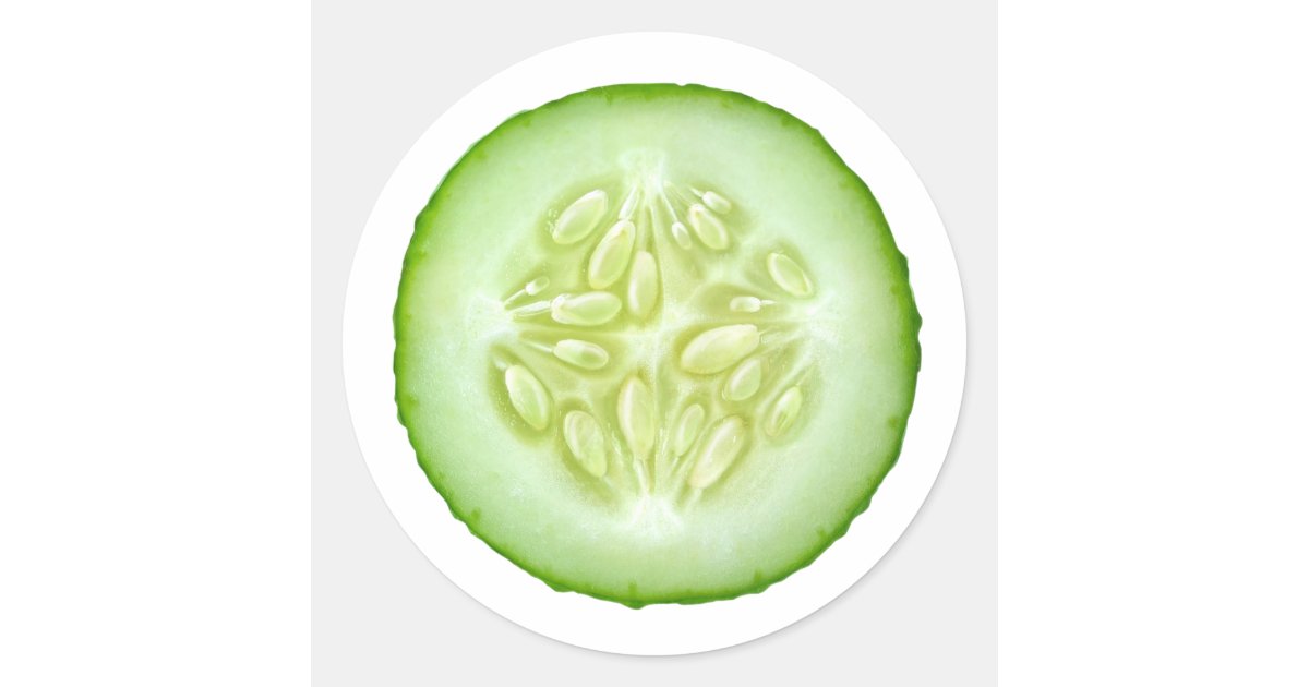 Slice of cucumber classic round sticker | Zazzle