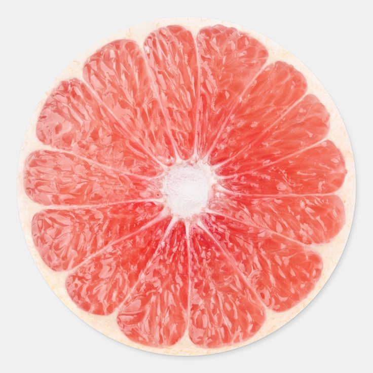 Slice of grapefruit classic round sticker | Zazzle