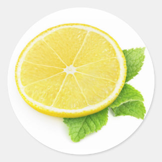 Lemon Slice Stickers | Zazzle