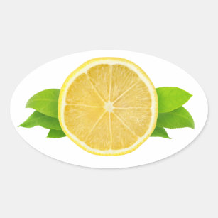 Lemon Slice Stickers | Zazzle