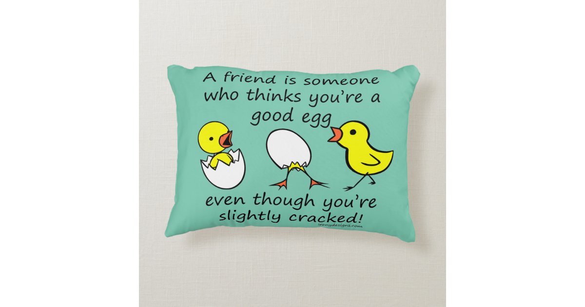 Slightly Cracked Funny Best Friend Saying Decorative Pillow | Zazzle