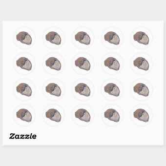 Slipper shell watercolor classic round sticker | Zazzle