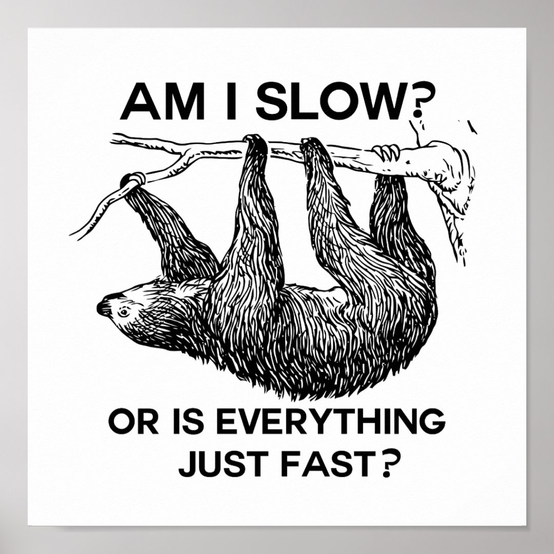 Sloth Am I Slow? Funny Saying Poster | Zazzle