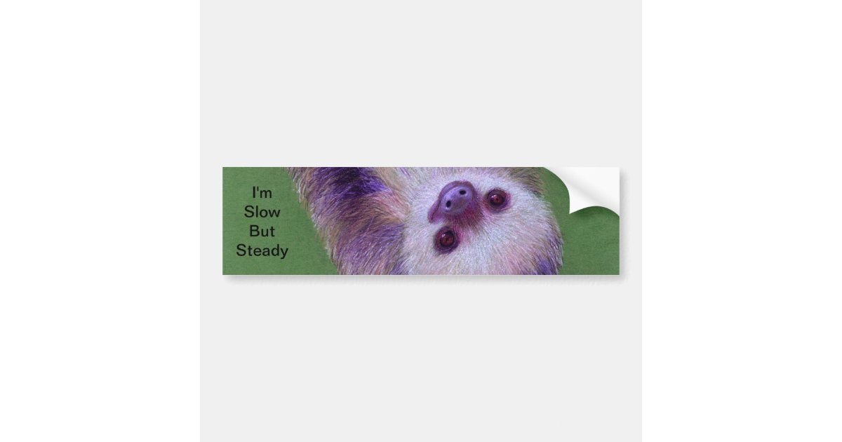 Sloth Bumper Sticker | Zazzle