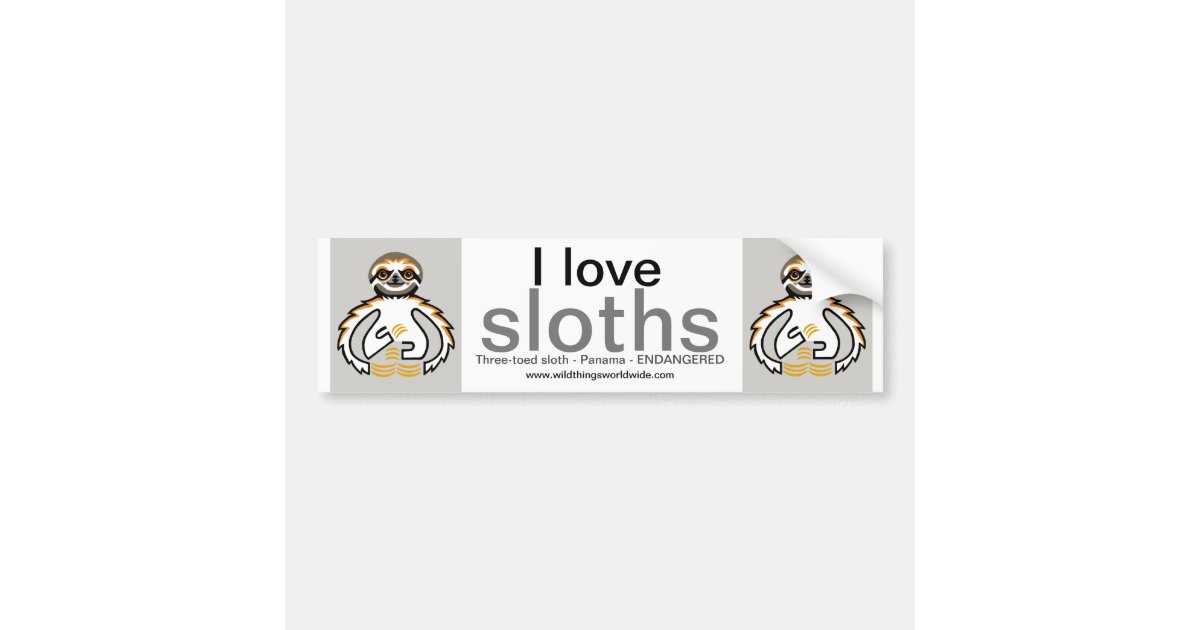 Sloth - bumper sticker | Zazzle