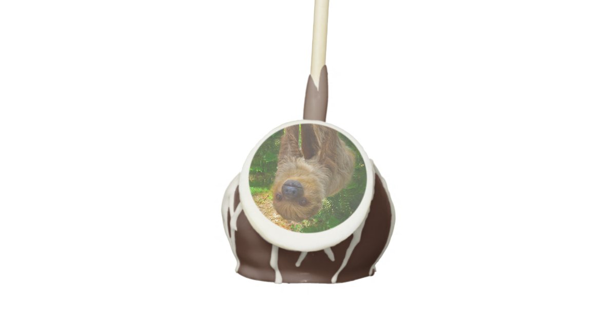 Sloth Cake Pops | Zazzle