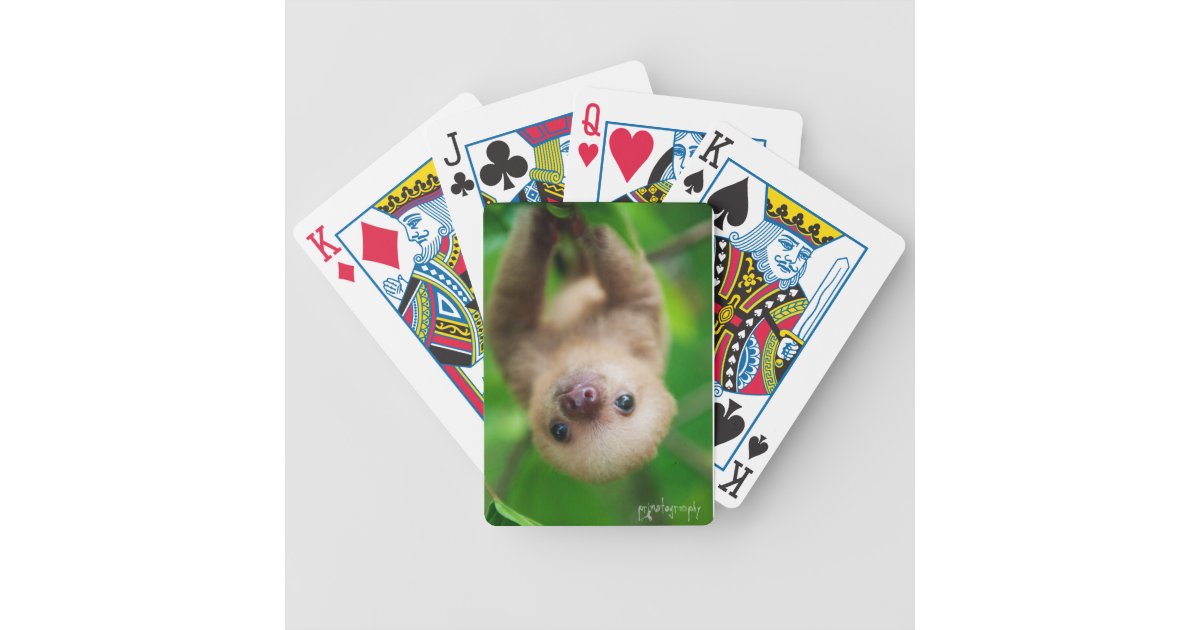 Sloth Card Deck | Zazzle.com