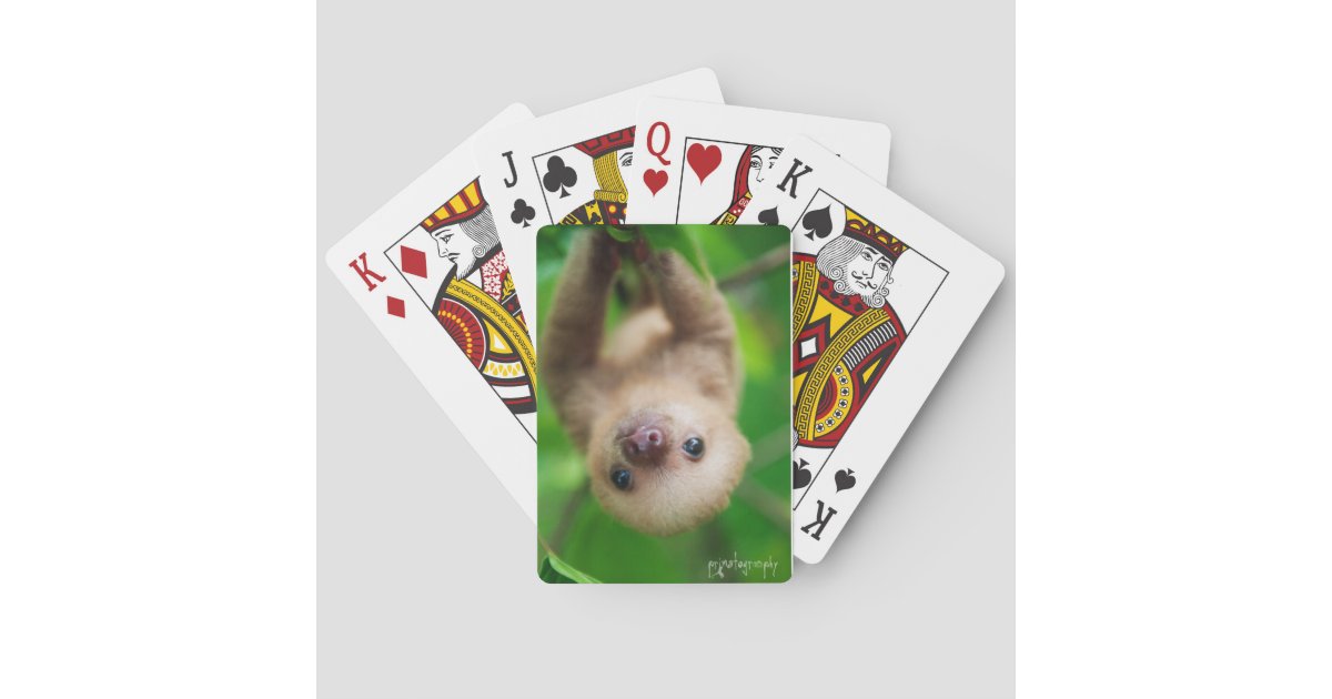 Sloth Card Deck | Zazzle