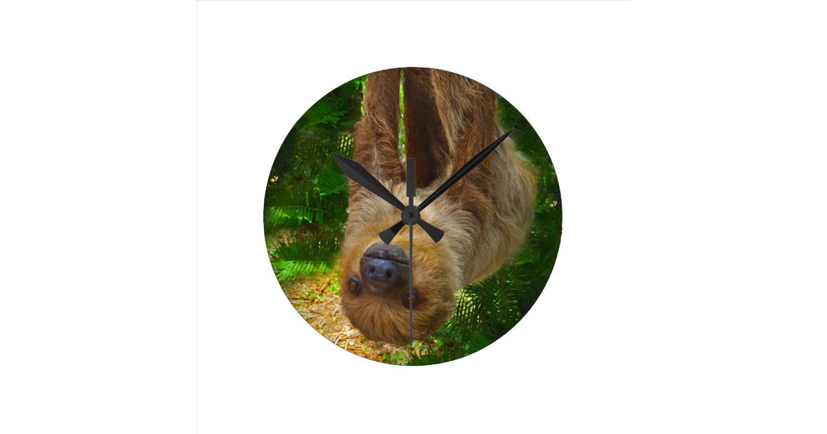 Sloth Clock | Zazzle.com