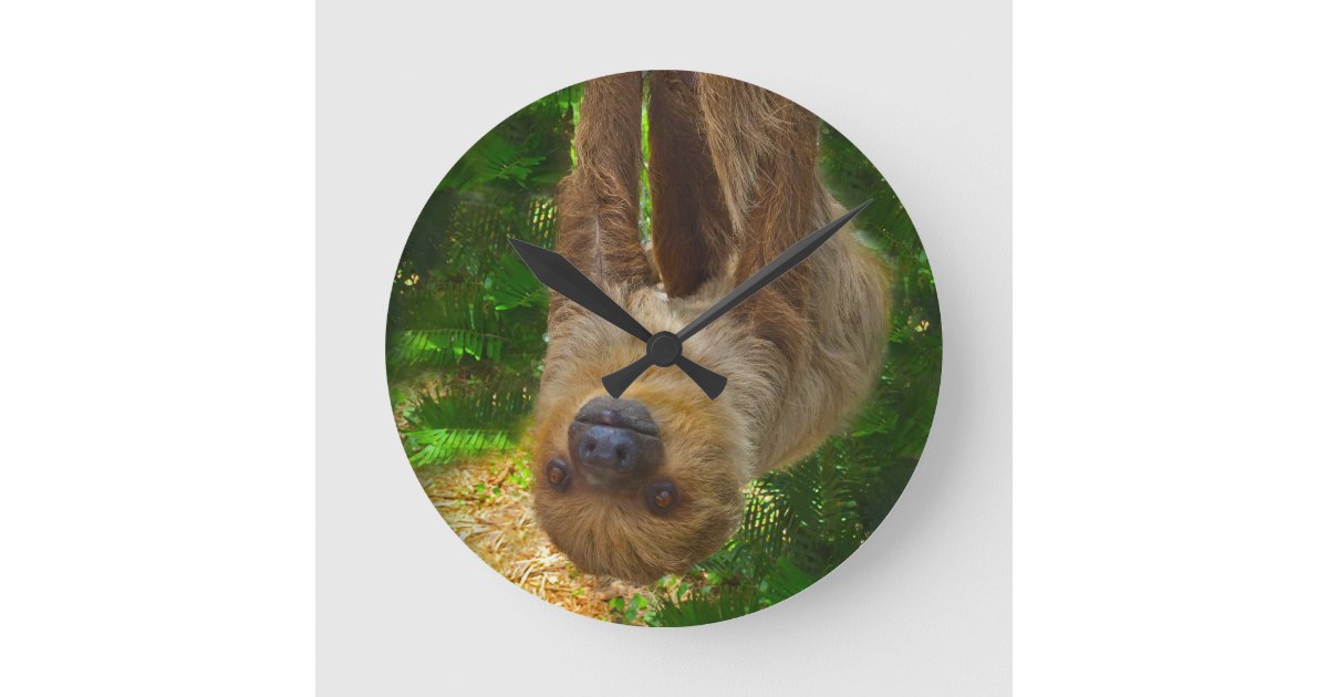Sloth Clock | Zazzle