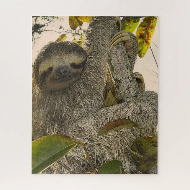 sloth jigsaw puzzle | Zazzle