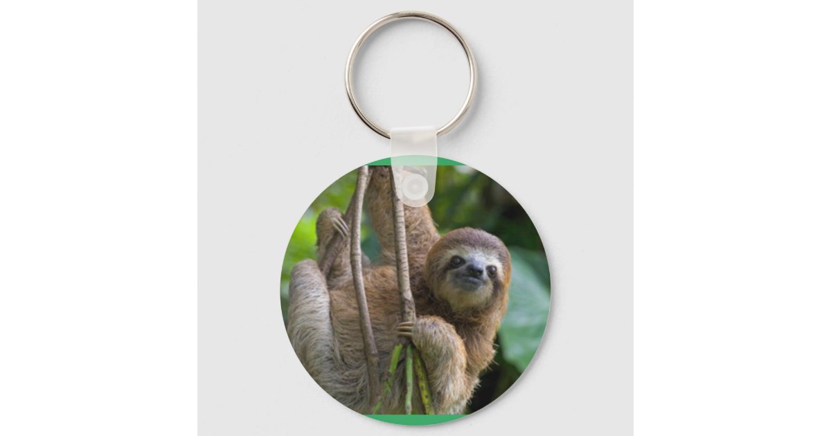 Sloth Keychain | Zazzle