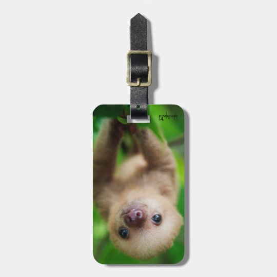 Sloth Luggage Tag | Zazzle.com