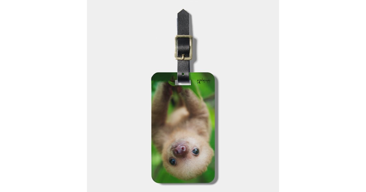 Sloth Luggage Tag | Zazzle.com