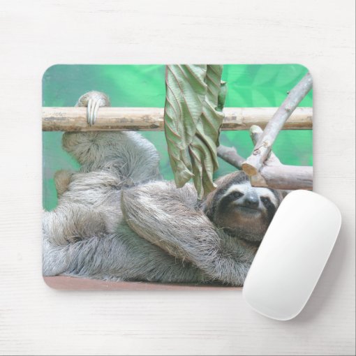 Sloth Mousepad | Zazzle