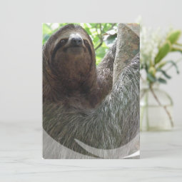 Sloth Photo Design Invitation | Zazzle
