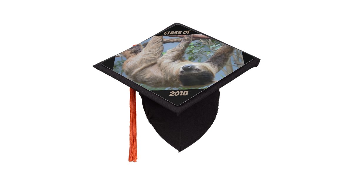 Sloth Photo Graduation Cap Topper | Zazzle