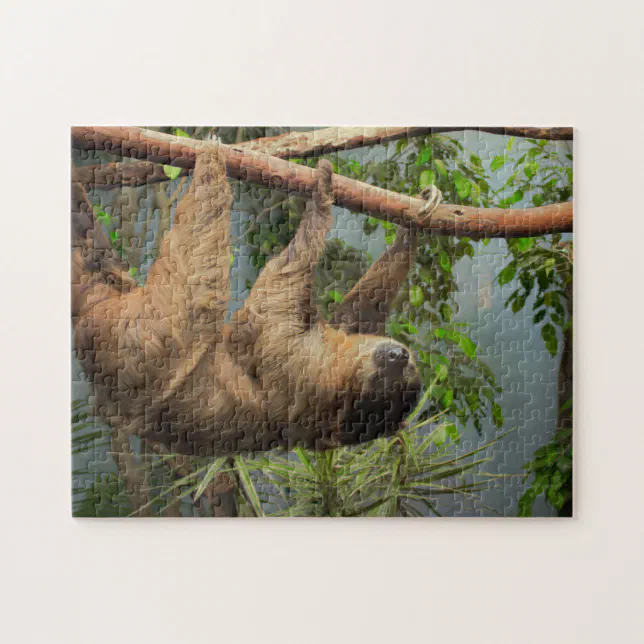 Sloth Photo Puzzle | Zazzle